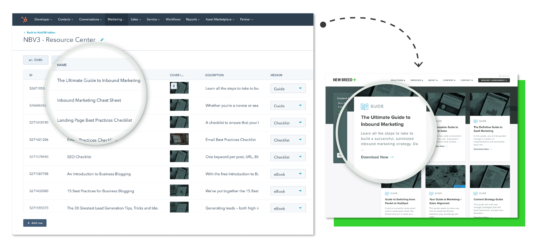 3 Ways to Use HubDB on Your Website
