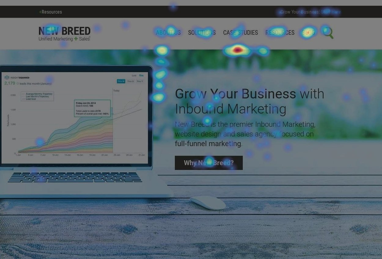 User Behavior: How Heatmaps Can Transform Your Business